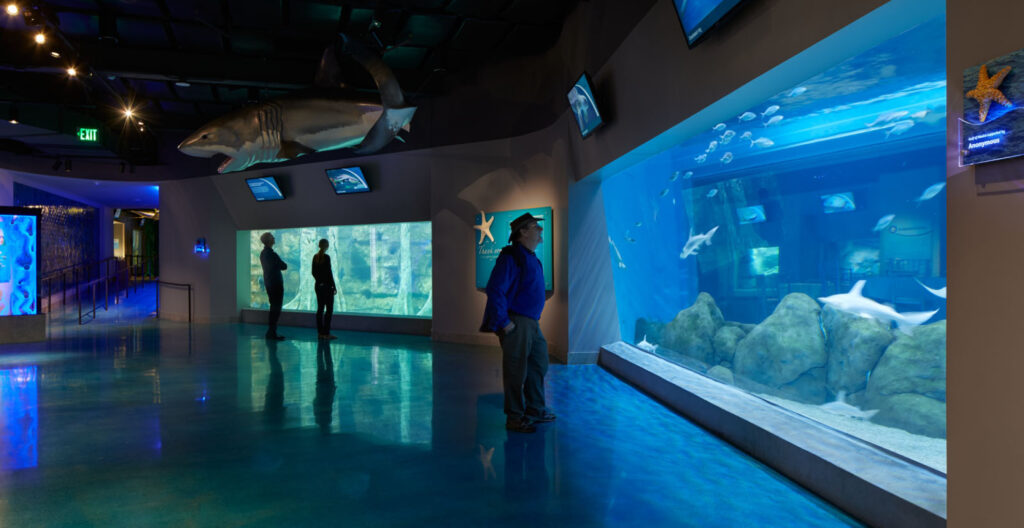 Toledo Zoo and Aquarium | EHDD Architecture, Interiors & Planning