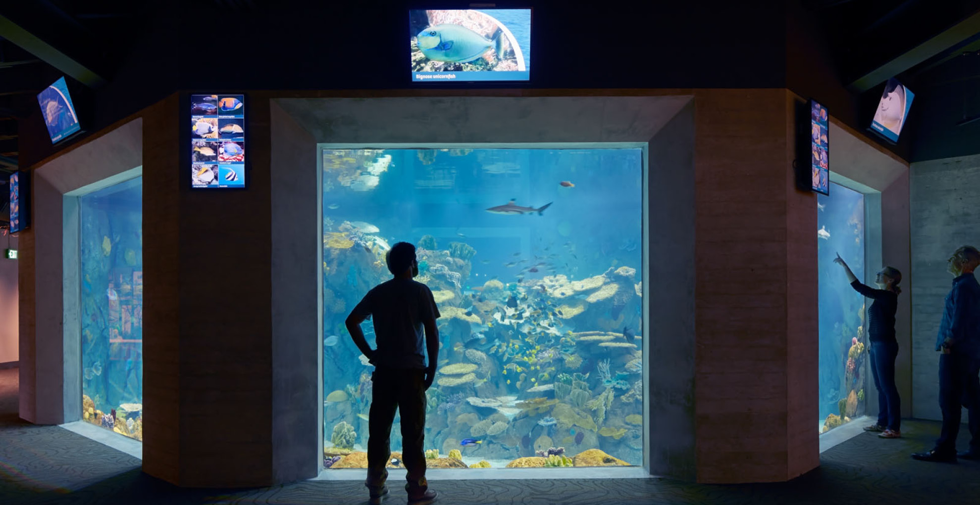 Toledo Zoo and Aquarium | EHDD Architecture, Interiors & Planning