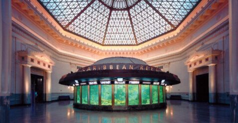 John G. Shedd Aquarium | EHDD Architecture, Interiors & Planning