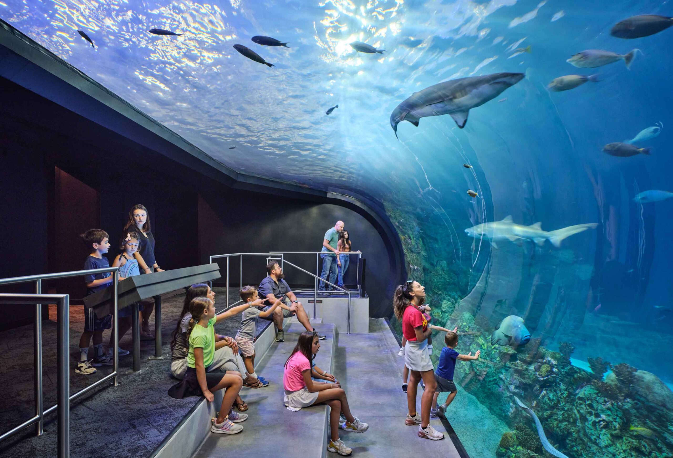 The Case for Architecture in Aquariums | EHDD Architecture, Interiors ...