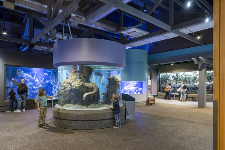 Oregon Coast Aquarium | EHDD Architecture, Interiors & Planning